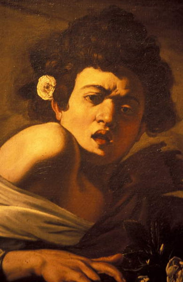 Boy bitten by a lizard, Caravaggio work of art, Palazzo Ducale, Genoa ...