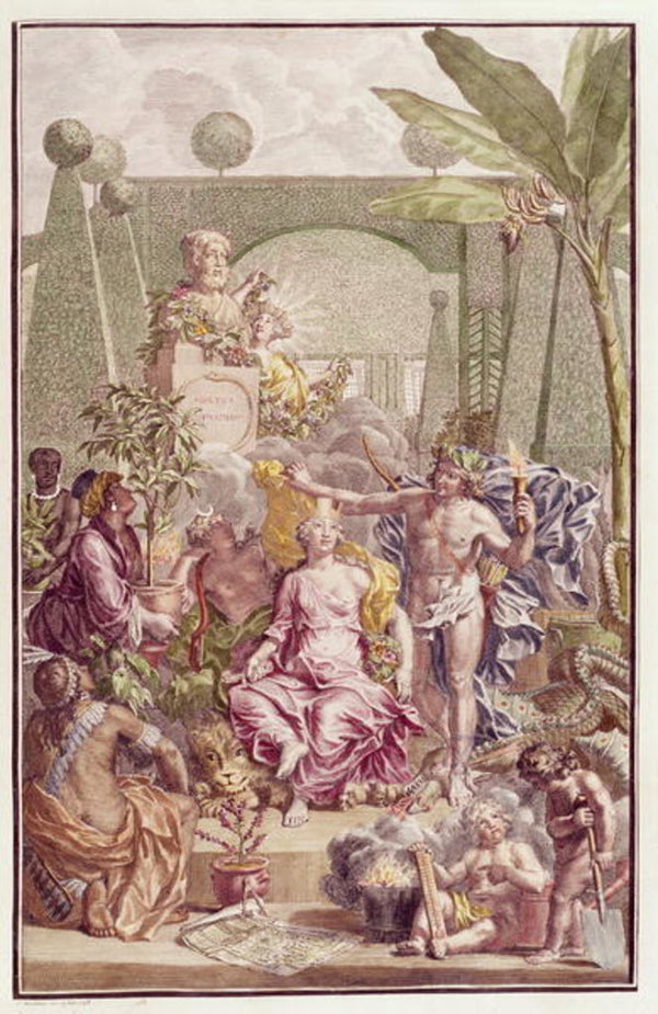 Frontispiece of 'Hortus Cliffortianus' by Carl Linnaeus posters ...