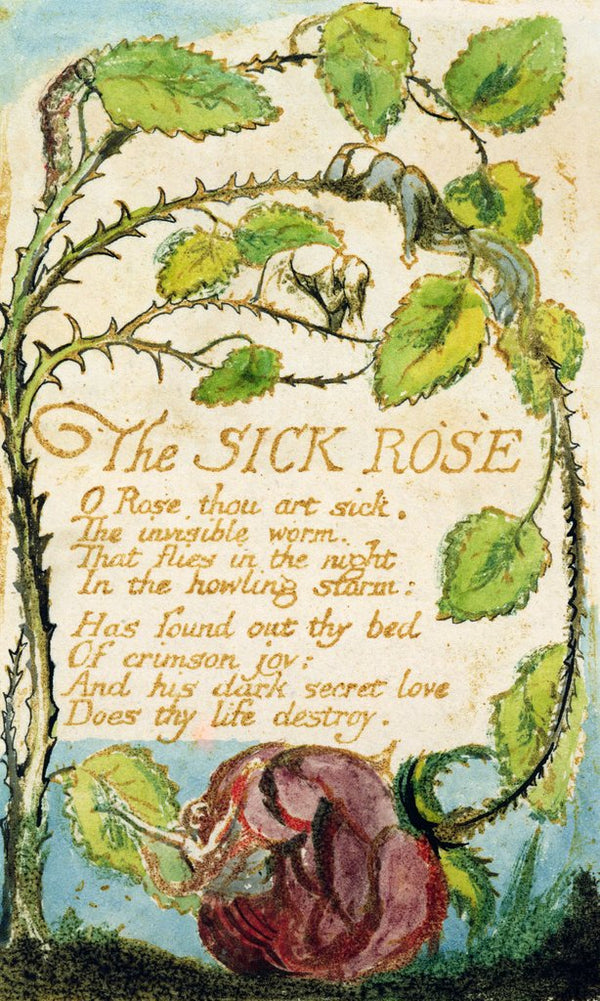 The Sick Rose posters & prints by William Blake