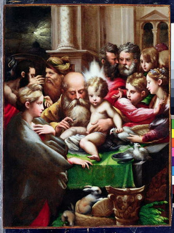 The Circumcision, c.1523 posters & prints by Parmigianino (1503-40)