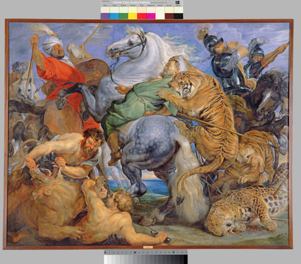 The Tiger Hunt, c.1616 posters & prints by Peter Paul Rubens