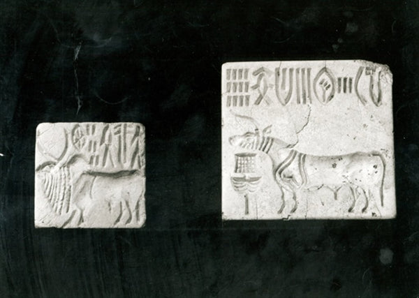 Two decorated seals depicting a zebu and a bull, from Mohenjodaro ...