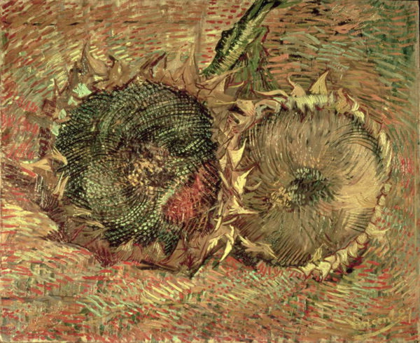 Two Cut Sunflowers, 1887 posters & prints by Vincent van Gogh