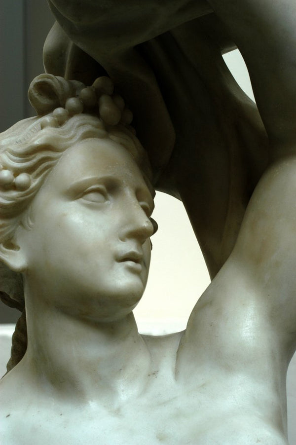 Venus, detail posters & prints by Stuart Cox