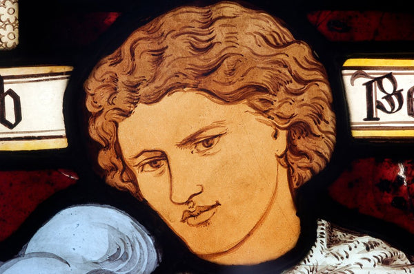 Panel depicting a young man posters & prints by Stuart Cox