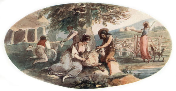 Sheep Shearing posters & prints by William Hamilton