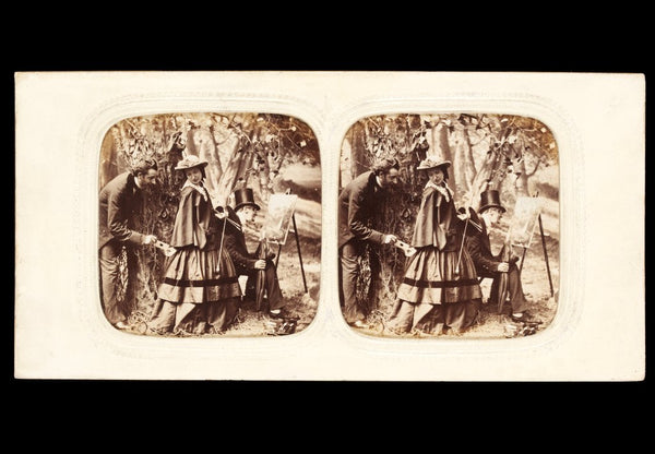 Very pretty indeed! posters & prints by James Elliott