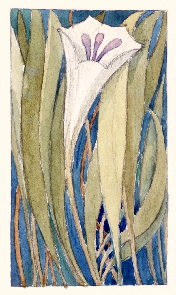 Lily posters & prints by Charles Robert Ashbee