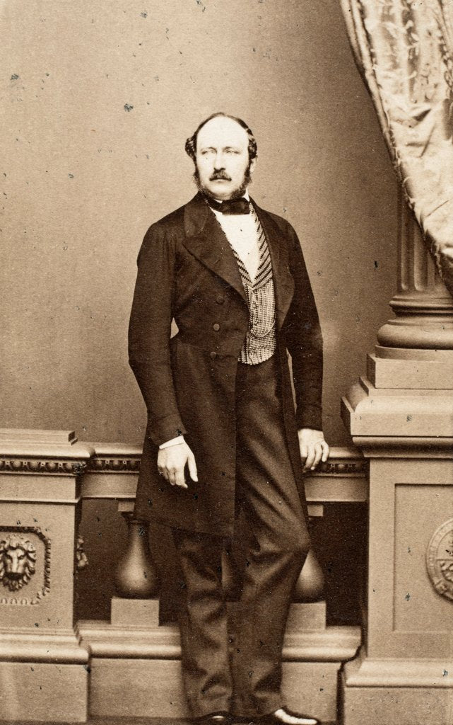 Prince Albert posters & prints by John Jabez Edwin Mayall