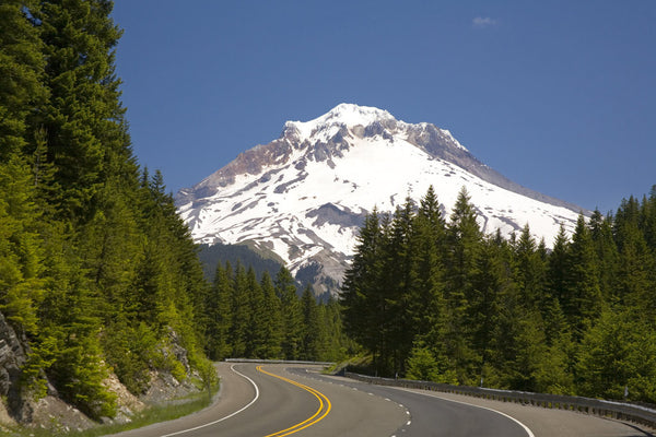 Highway Leading Towards Mount Hood posters & prints by Anonymous