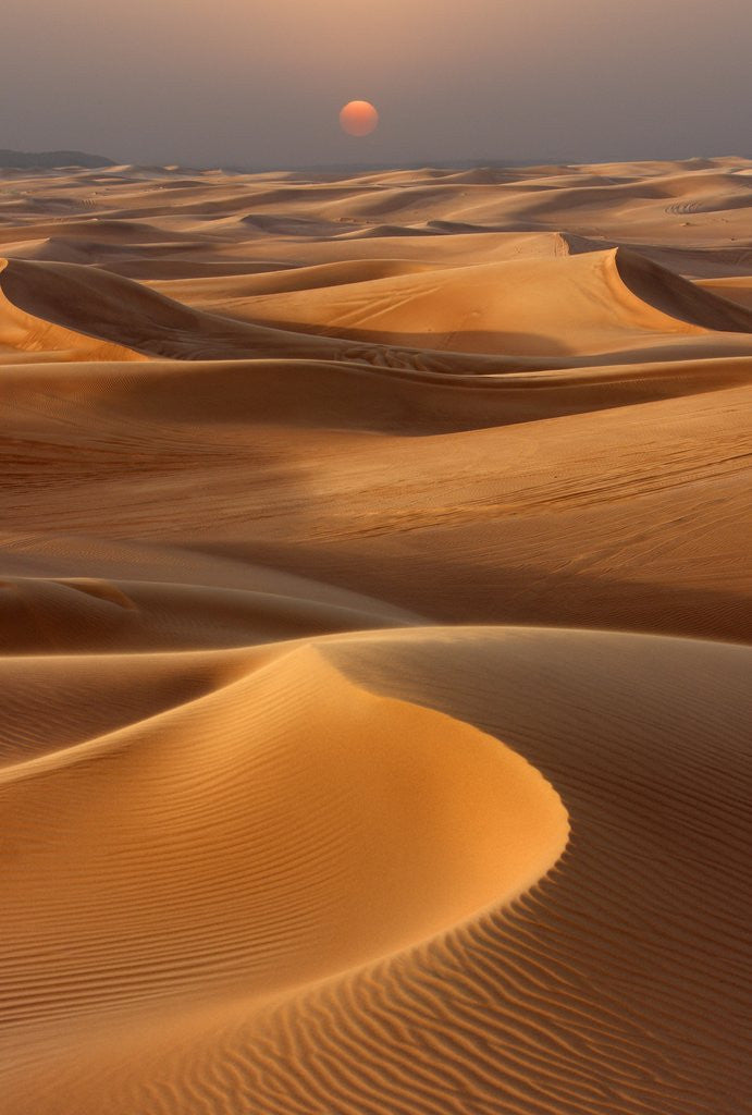 Dubai Sand Dunes Dubai Desert Safari: Quad Biking And Camel Ride: Book