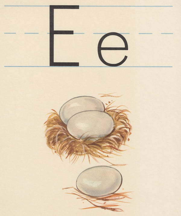 E is for egg posters & prints by Corbis