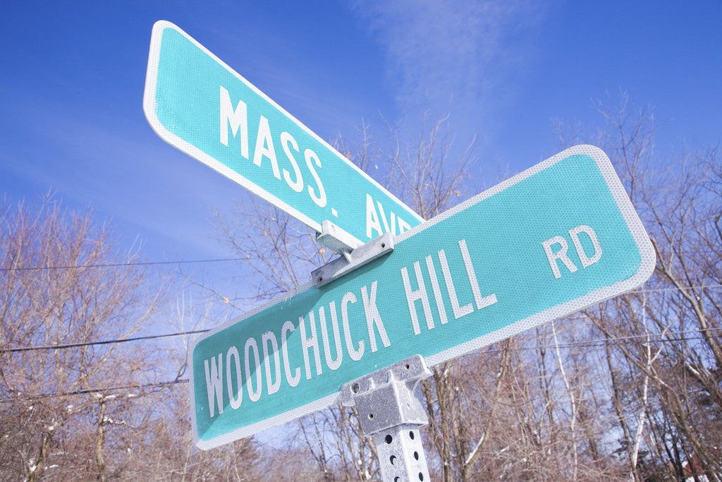 Mass Avenue Road Sign posters & prints by Corbis