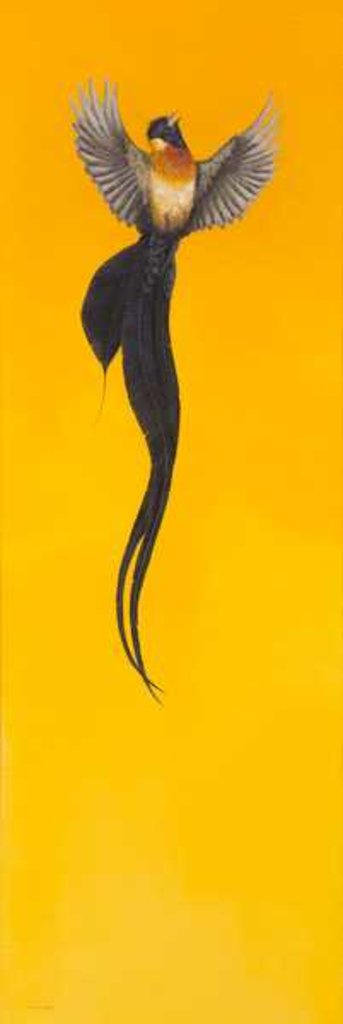 Soar posters & prints by Tim Hayward