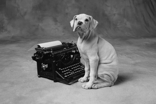 Dog Sitting at Typewriter posters & prints by Anonymous