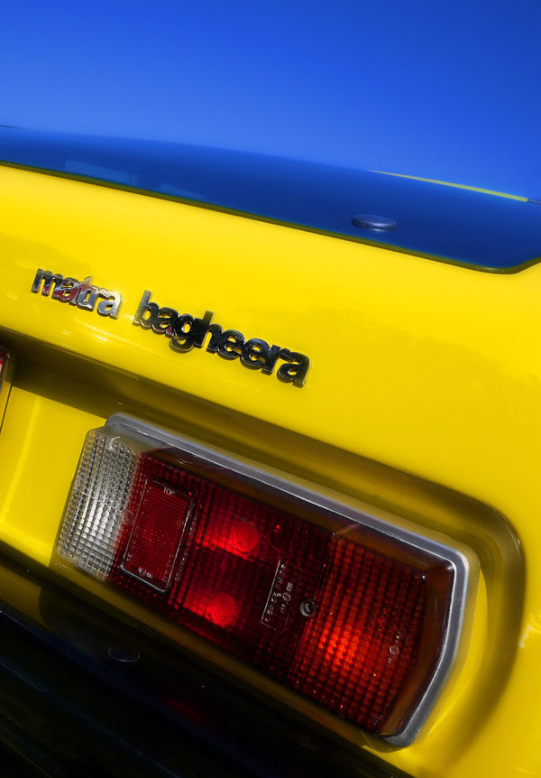 bagheera posters & prints by Wolfgang Simlinger