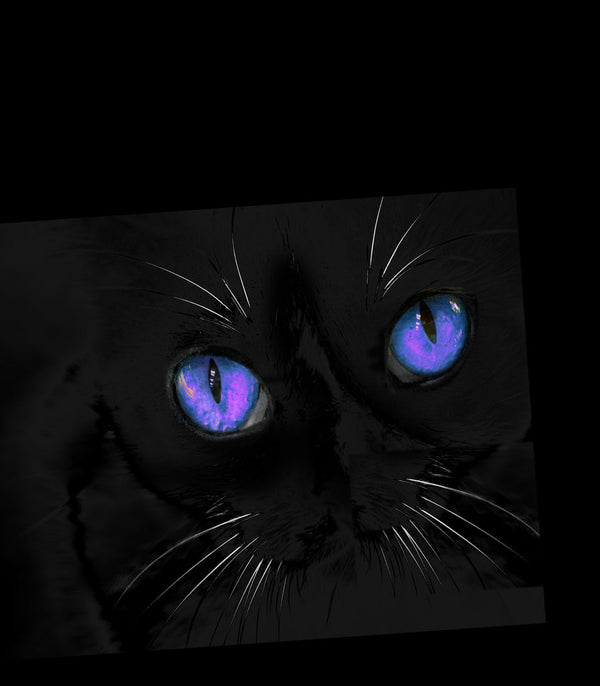 Violet Eyed Cat posters & prints by Dee Smart