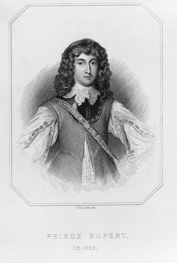 Portrait of Prince Rupert posters & prints by Anonymous