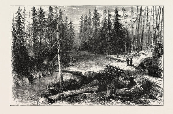 The Red River Expedition: Dawson's Road, 1870, Canada posters & prints ...