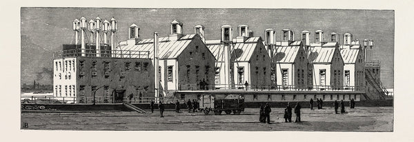 The Small-Pox Epidemic and the Metropolitan Asylums Board: The Twin ...