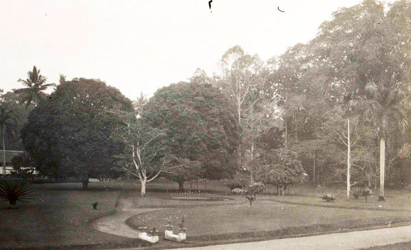 Dutch East Indies, indonesia, Namoe - Trassi garden path posters ...