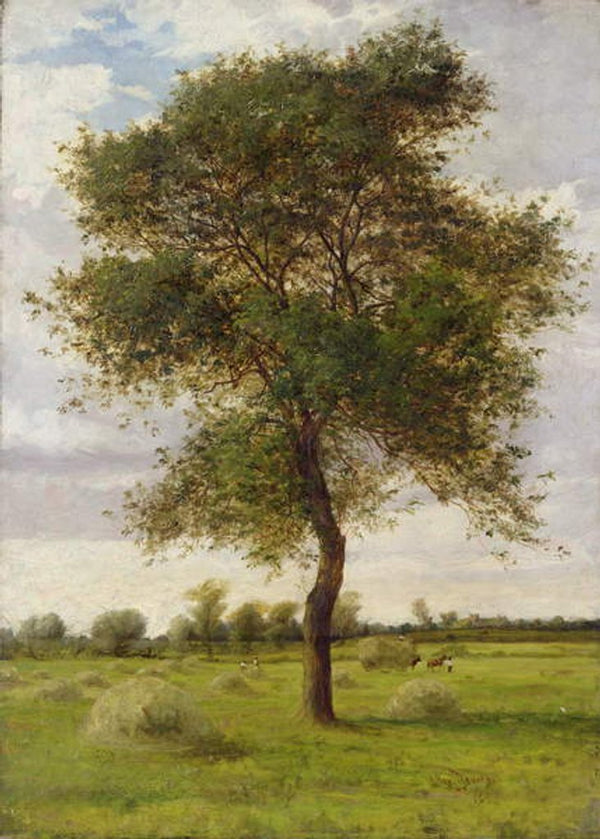 Study of an Ash Tree in Summer, 1883 posters & prints by James Hey Davies