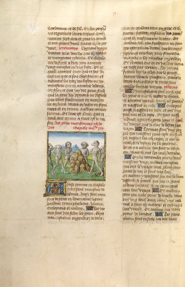 Akephalos and Kynokephalos posters & prints by Anonymous