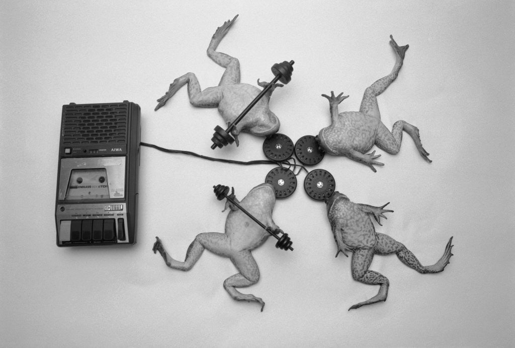 Frogs Undergoing Hypnosis posters & prints by Corbis