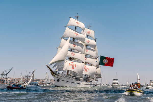 NRP Sagres posters & prints by Richard Sibley