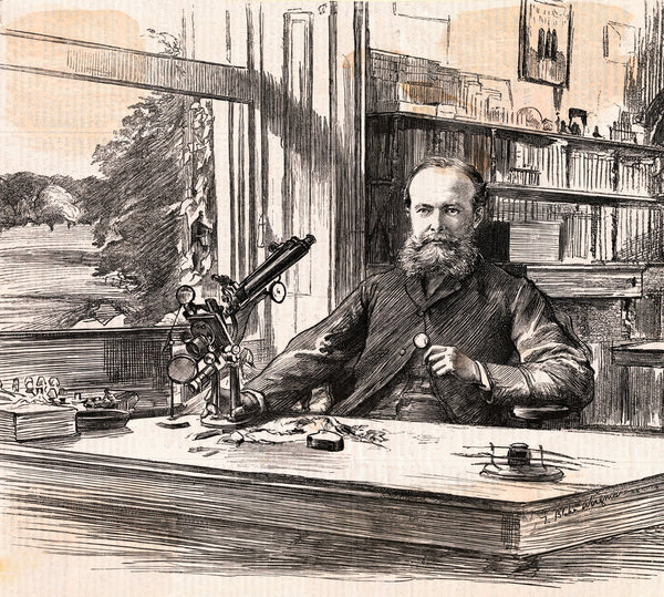 Sir John Lubbock with Microscope posters & prints by Anonymous