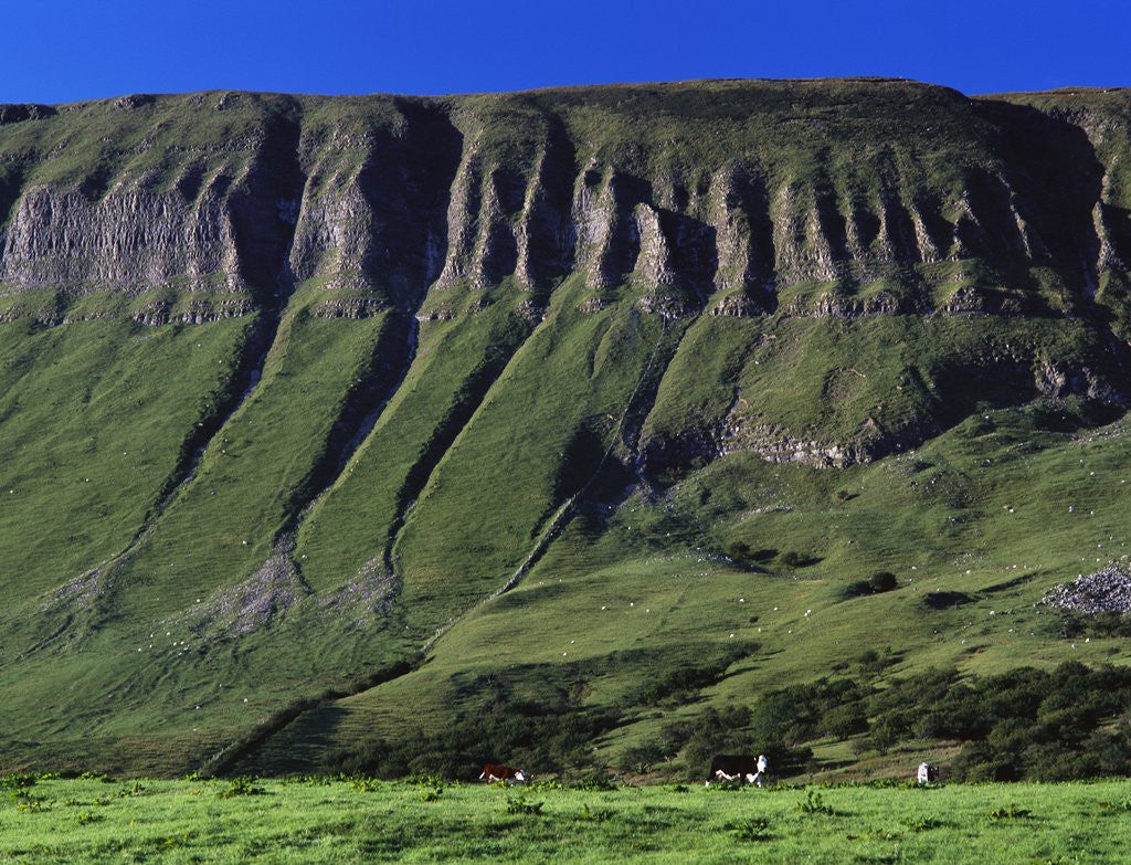 Ben Bulben posters & prints by Corbis