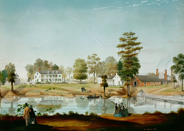 The Olivier Plantation, 1861 posters & prints by Adrien Persac